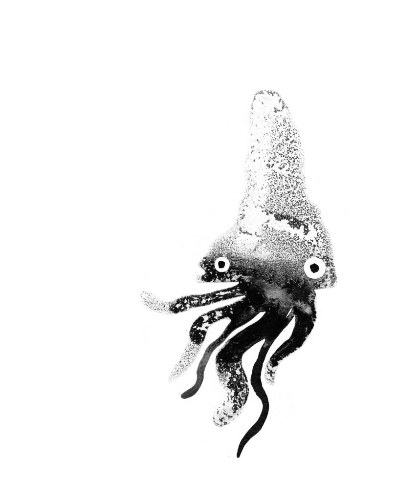 Interview with Laura Merz March 2020 - Institut finlandais